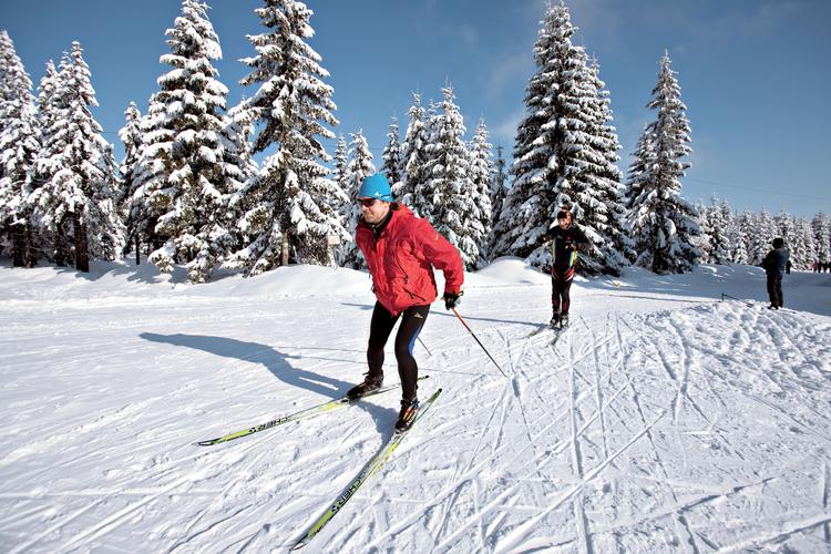 Galeria zdjęć - Trasy na narty biegowe. Gdzie w Polsce jeździć na ...